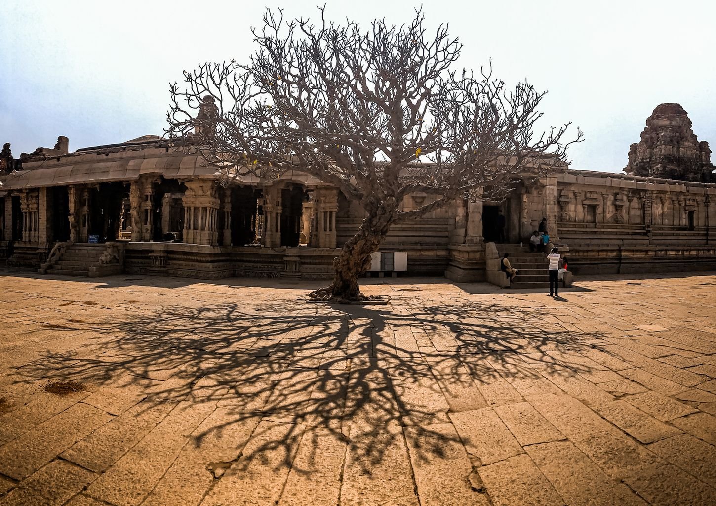 Amazing Lesser Known Facts About Archaeological Museum - hospet.online